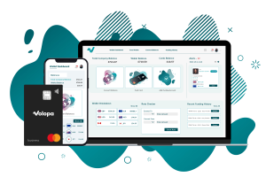 Choose the Right Business Account for You | Volopa Pricing Plans